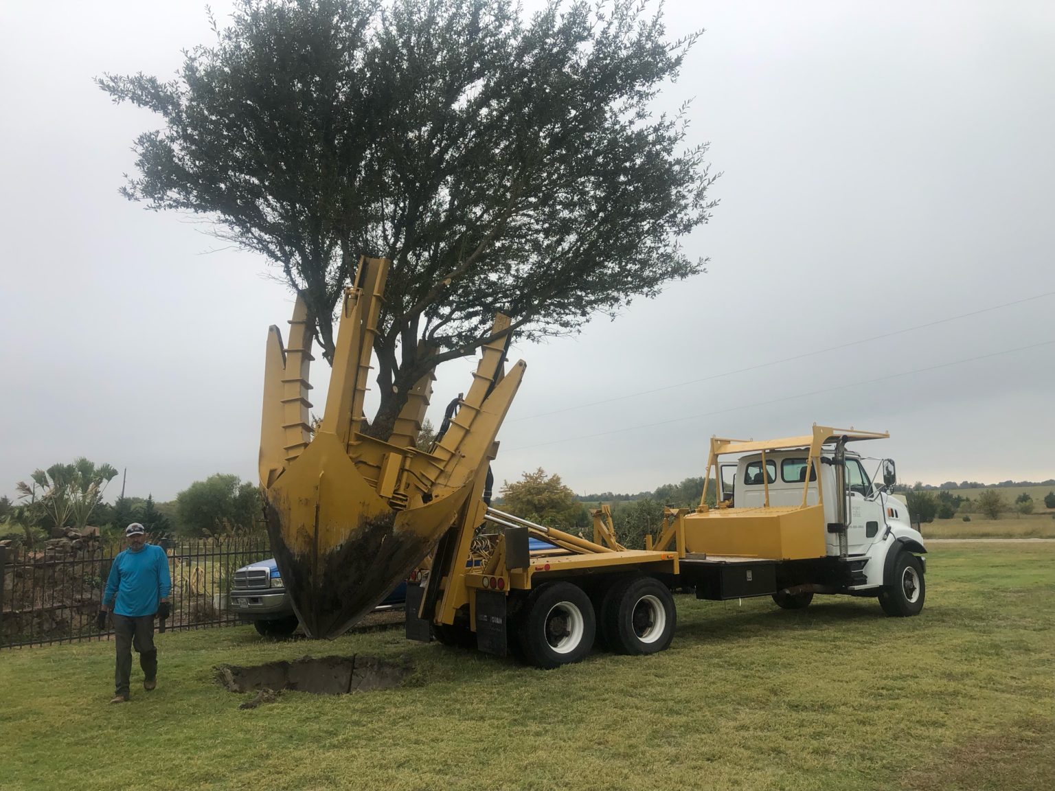 Port A Tree – Tree Sales and Transplanting