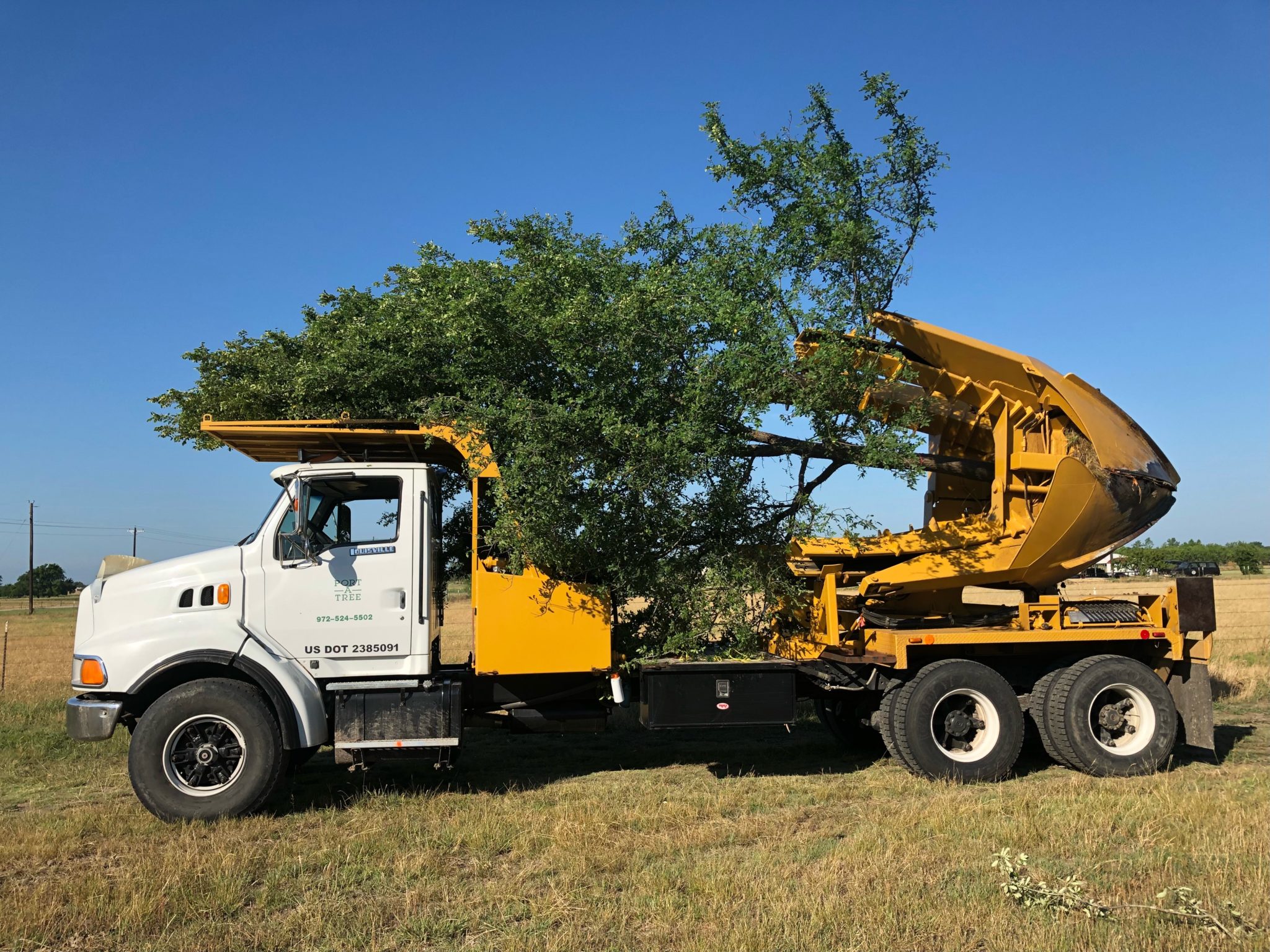 Port A Tree – Tree Sales and Transplanting