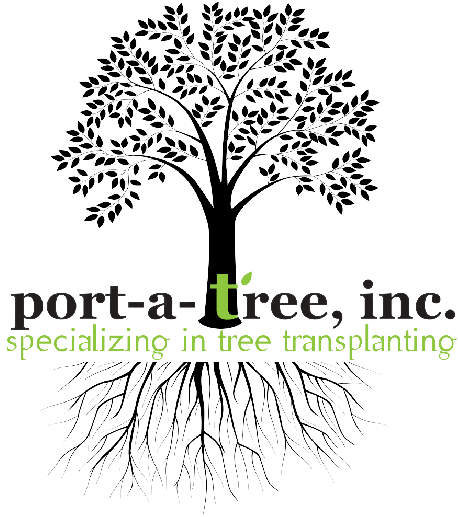 Port A Tree – Tree Sales and Transplanting